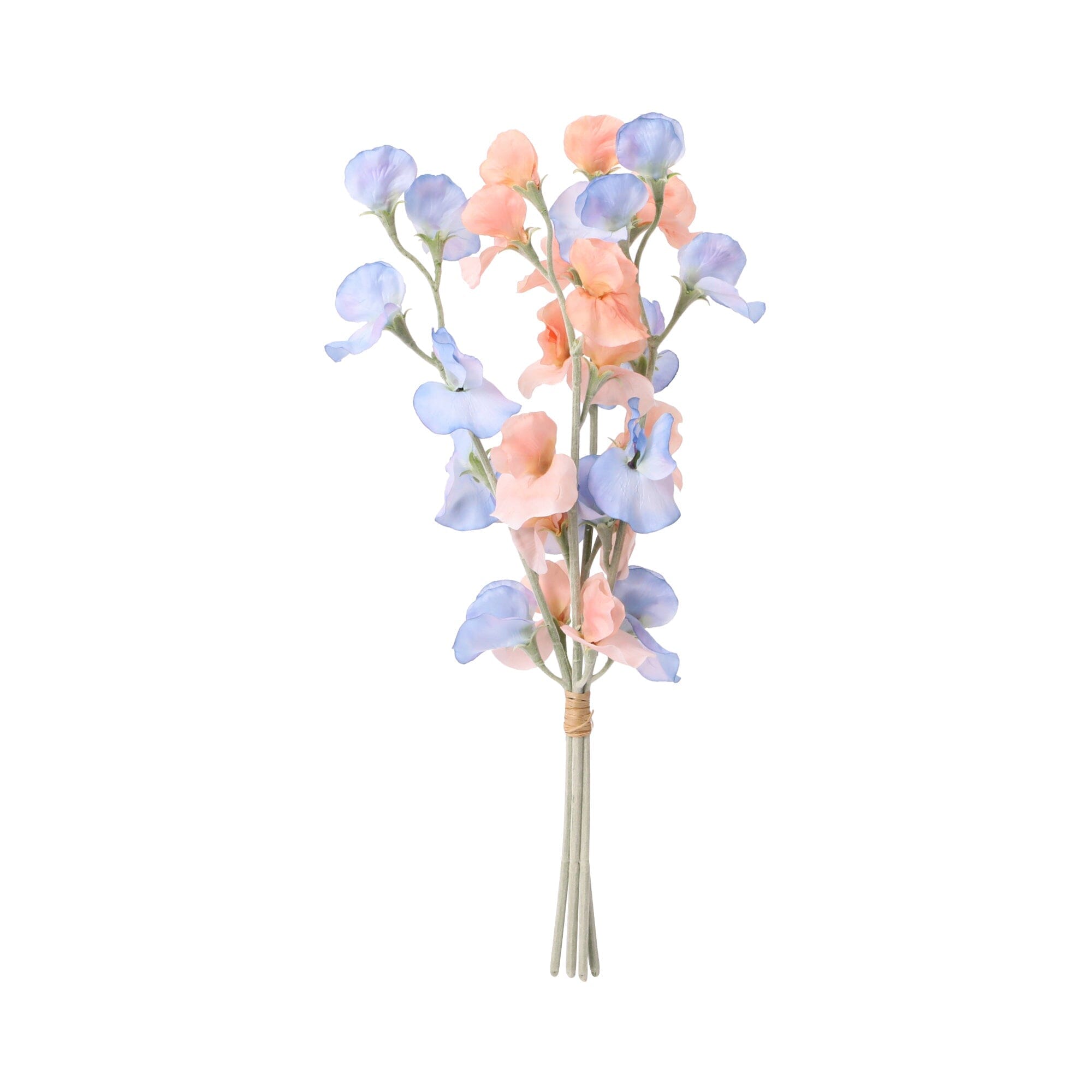 Mini Bouquet Sweet Pea Light Blue X Orange – Francfranc Hong Kong
