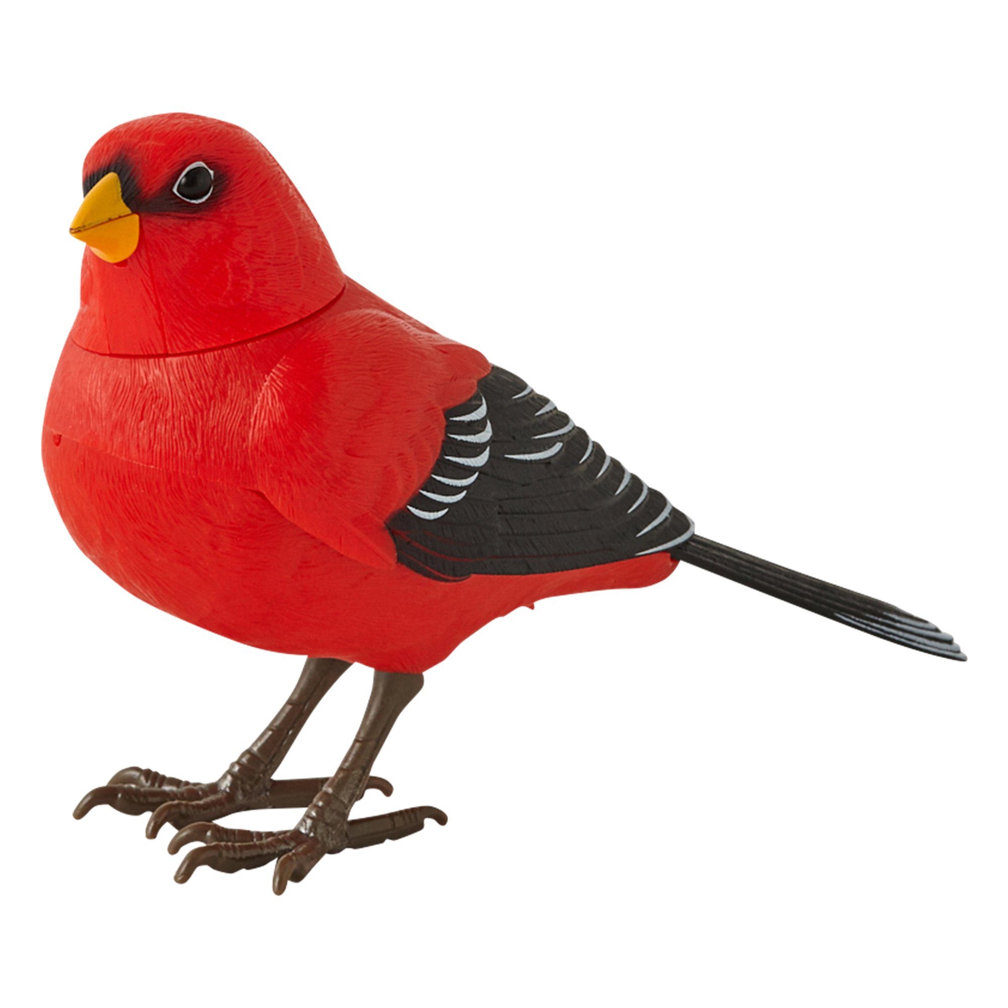 Motion Detector Music Bird Red – Francfranc Hong Kong
